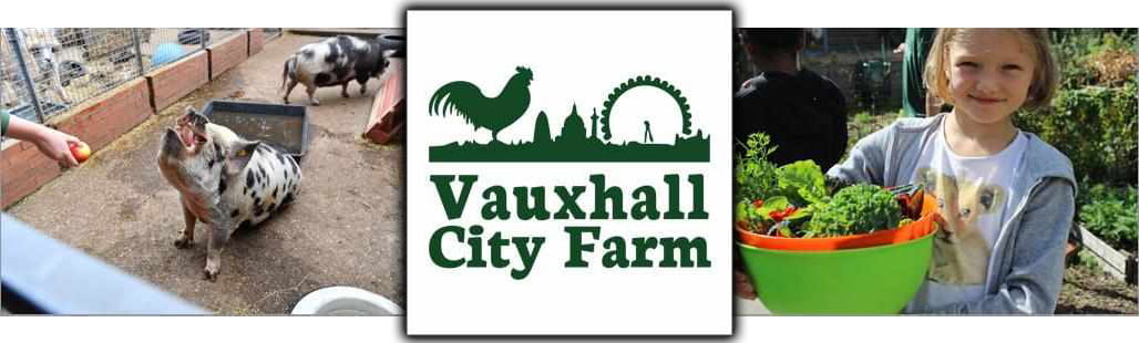 Vauxhall City Farm | Berkeley Foundation
